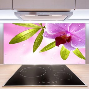 Kuchyňský skleněný panel Květ Listy Rostlina 140x70 cm