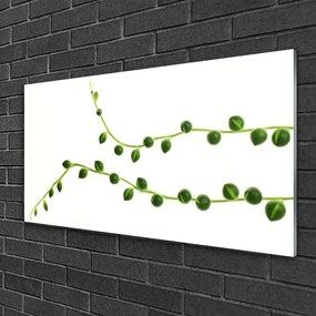 Obraz na skle Dekorativní Rostlina 125x50 cm