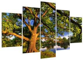 Obraz  stromu u jezera (150x105 cm)