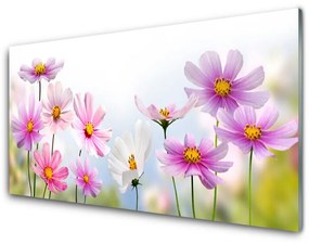Obraz na skle Květiny Rostlina Příroda 120x60 cm