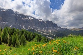 DIMEX | Samolepicí vliesová fototapeta na zeď Letní den v horách MA-5-1800 | 375 x 250 cm | zelená, bílá, šedá