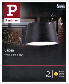 Paulmann 94452 - LED/6W IP44 Venkovní nástěnné svítidlo CAPEA 230V