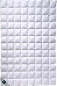 XXXLutz LETNÍ PŘIKRÝVKA, 140/200 cm, prachové peří Billerbeck - Přikrývky - 003279006401