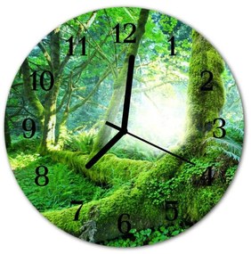 Nástěnné hodiny obrazové na skle - Prales