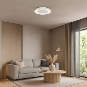 Stropní LED svítidlo Piattino, 1x LED 30w, 3000-6000k, w