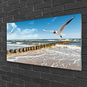 Obraz na skle Racci Moře Krajina 125x50 cm