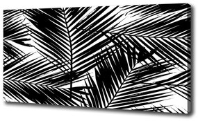Wallmuralia Foto obraz na plátně Listí palmy 100x50