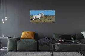 Obrazy na plátně Unicorn Golf 125x50 cm