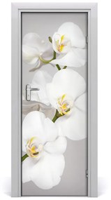 Fototapeta na dveře Bílá orchidej 95x205 cm