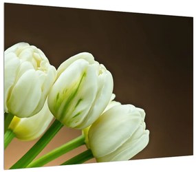 Obraz tulipánů  (70x50 cm)