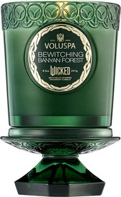 Voluspa Wicked svíčka Bewitching Banyan Forest, 241 g