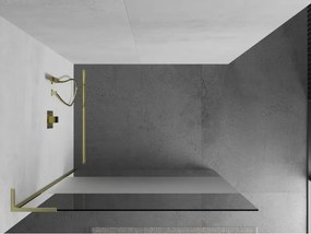 Mexen Kioto L, sprchová zástěna Walk-In 120 x 200 cm, 8mm čiré sklo-námraza, zlatý matný profil, 800-120-103-55-35
