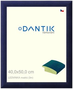 DANTIK rámeček 40x50 | LEDVINKA modrá (Sklo Čiré)