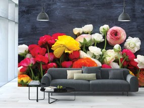 Malvis ® Tapeta Řezané květiny Vel. (šířka x výška): 504 x 310 cm