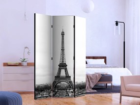 Pokojová zástěna Paříž: černobílá fotografie II - černobílá krajina Eiffelovy věže