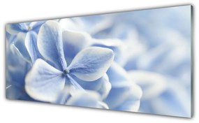 Plexisklo-obraz Květiny Plátky Příroda 125x50 cm