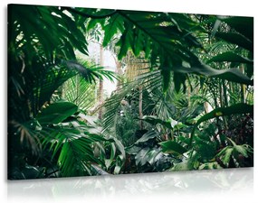 Malvis ® Obraz domácí džungle Velikost (šířka x výška): 90x60 cm