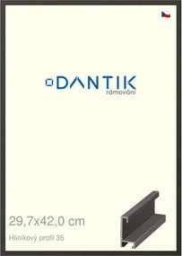DANTIK rámeček 29,7x42 | ALU profil 6035 Dýha černá (Plexi Čiré)