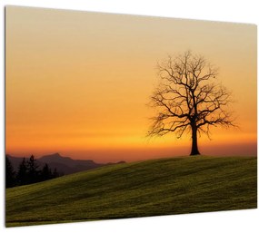 Skleněný obraz západu slunce na louce (70x50 cm)