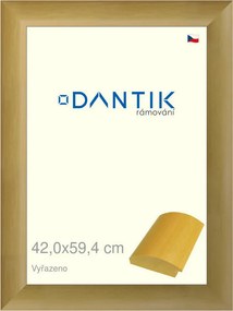DANTIK rámeček 42x59,4 | Vyřazeno | RENÉ přírodní (Plexi Čiré)