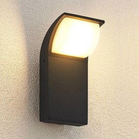 Venkovní nástěnné svítidlo Lucande Tinna LED