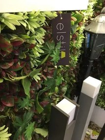 Vertical garden Tundra