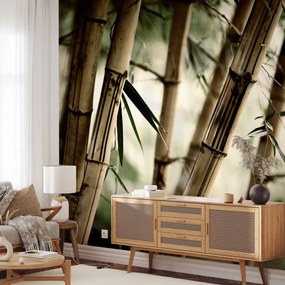Fototapeta Japonský motiv - rostliny ve stylu Orientu s makro záběrem bambusů