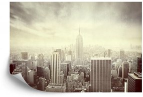 Fototapeta Pohled Na New York City Omyvatelný vlies 450x300