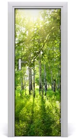 Fototapeta na dveře břízový les 95x205 cm