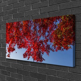 Obraz na plátně Strom Listy Větve Příroda 140x70 cm