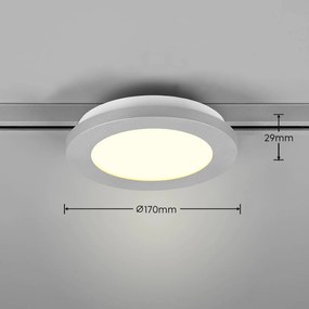 Stropní svítidlo LED Camillus DUOline, Ø 17 cm, titanová barva