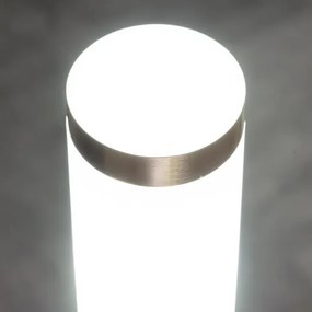 BRILAGI - Venkovní lampa se senzorem ELIA 1xE27/20W/230V IP44 100 cm chrom
