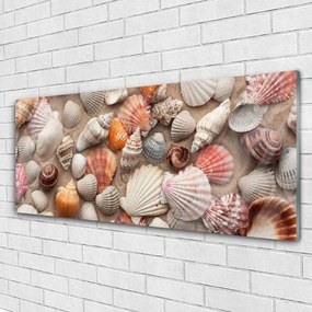 akrylový obraz Korýš Písek Umění 125x50 cm