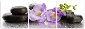 Obraz na plátně - Lávové kameny a fialové květy - panoráma 563B (120x40 cm)