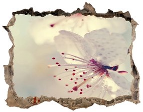 Wallmuralia Samolepící nálepka na zeď Květ višně 95x64 cm