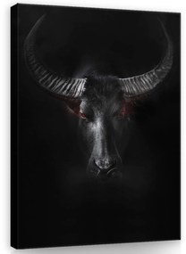 Postershop Obraz na plátně: Černý býk - 60x80 cm