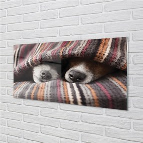 akrylový obraz spící psi 100x50 cm