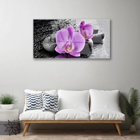 Plexisklo-obraz Orchidej Květiny Kameny Zen 100x50 cm