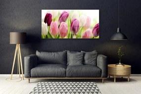 Plexisklo-obraz Tulipány Květiny Příroda Louka 120x60 cm