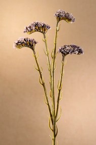 Paramit DRY STATICE Aranžovací květina modrá 64 cm