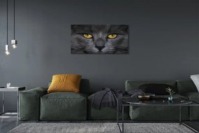 Obrazy na plátně Černá kočka 140x70 cm