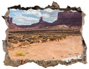 Wallmuralia Nálepka fototapeta 3D výhled Arizona USA 95x64 cm