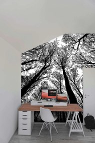 Malvis ® Tapeta černobílé koruny stromů Vel. (šířka x výška): 432 x 290 cm