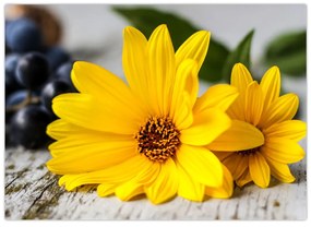 Skleněný obraz žlutých květů (70x50 cm)