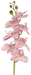 Villa Collection Umělá dekorace Styles Orchidej 102 cm Rose