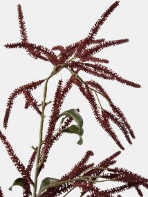 Sinsay - Dekorativní umělá rostlina - burgundy