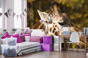 DIMEX | Samolepicí vliesová fototapeta na zeď Hlava žirafy MA-5-0450 | 375 x 250 cm | zelená, béžová, hnědá