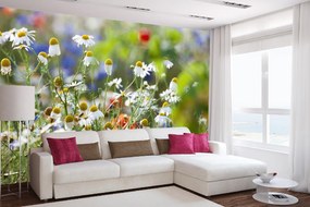 DIMEX | Samolepicí vliesová fototapeta na zeď Kvetoucí divoké květy MA-5-1371 | 375 x 250 cm | červená, bílá, žlutá, oranžová