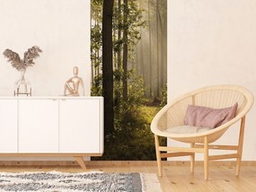Vliesová fototapeta na zed' Prosluněný Les | 90 x 270 cm | DFTNVL3712