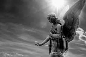 Obraz nádherný černobílý anděl na nebi Varianta: 60x40